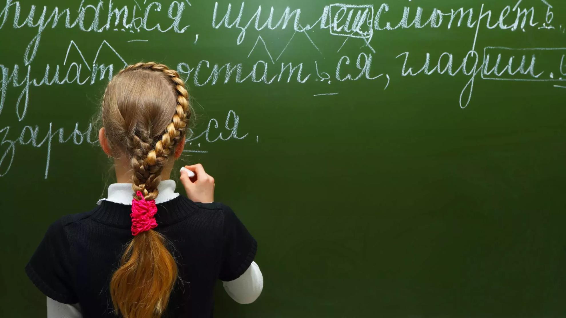 Švietimo sistemos paraštėse – tautinių mažumų mokyklos. Kaip reikėtų elgtis Lietuvai?